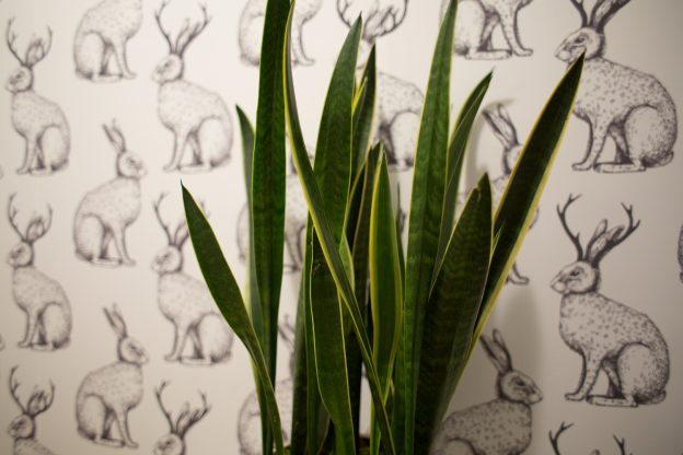 Hoppin' Mudroom Makeover with Walls Need Love - Kelsey Bang