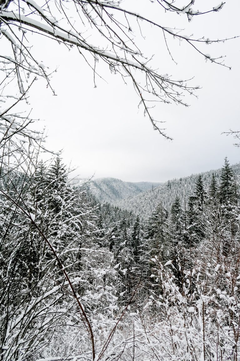 Snowy Oregon Mountain Pass - Kelsey Bang