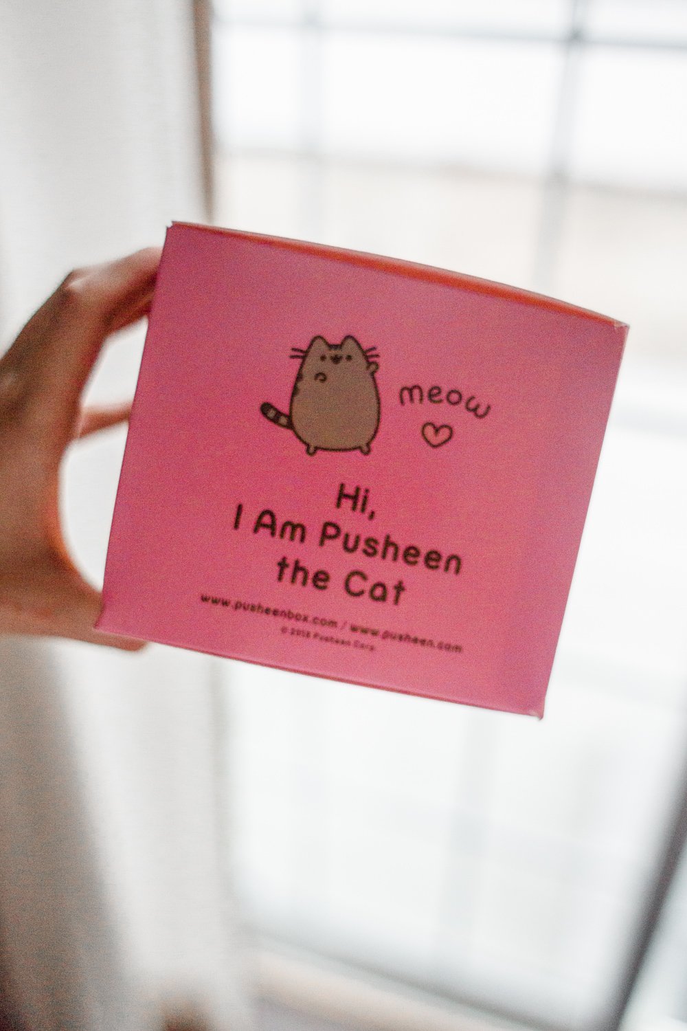 Winter Pusheen Subscription Unboxing - Kelsey Bang