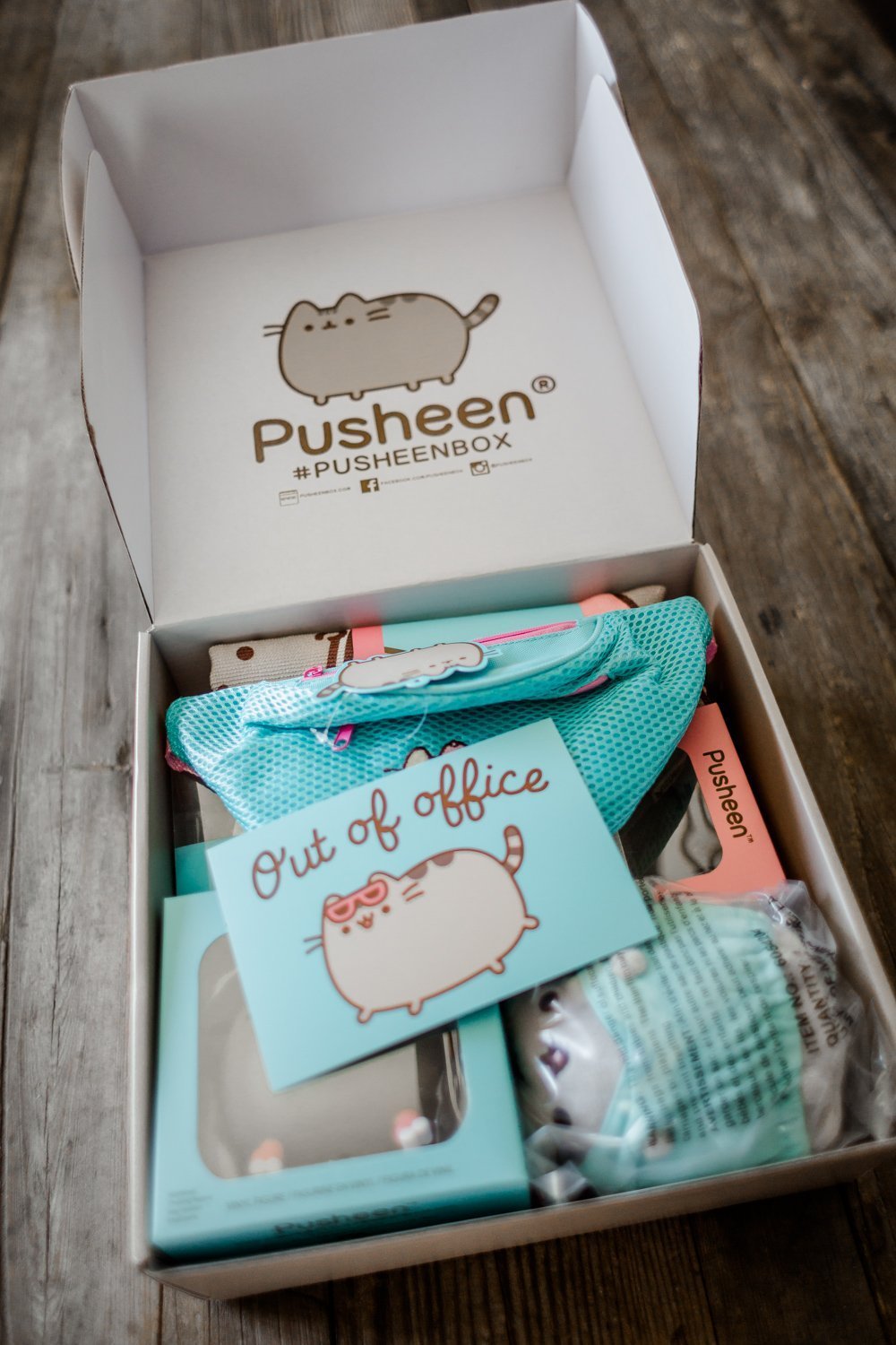 Spring Pusheen Subscription UnBoxing! - Kelsey Bang